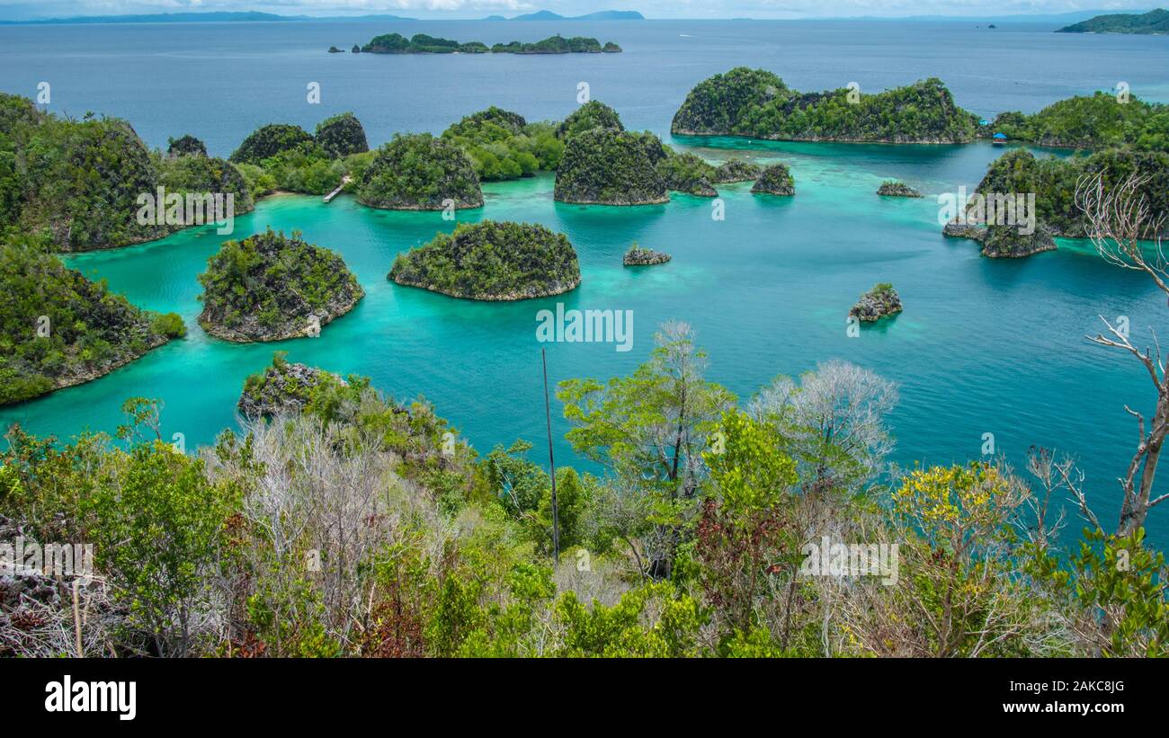 Painemo Island, Blue Lagoon, Raja Ampat, West Papua, Indonesia Stock ...