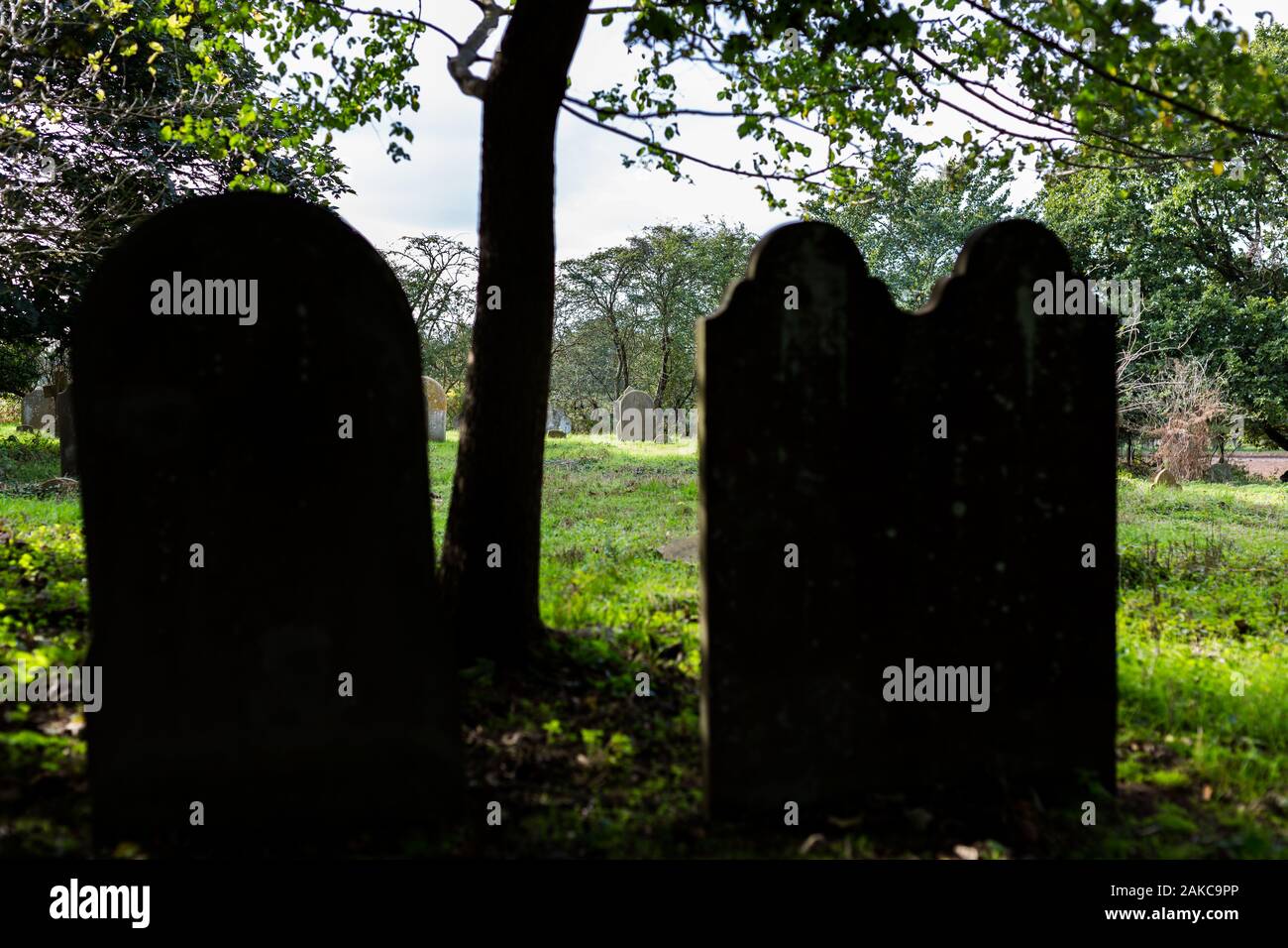 Cross shaped gravestone hi-res stock photography and images - Alamy