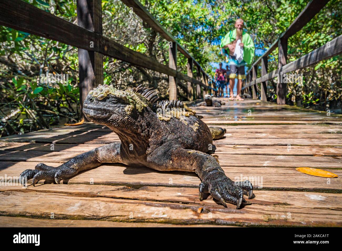 Ecuador, Galapagos archipelago, listed as World Heritage by UNESCO ...