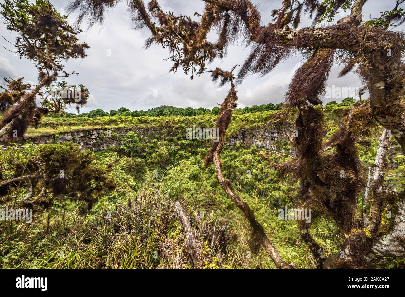 Ecuador, Galapagos archipelago, listed as World Heritage by UNESCO ...