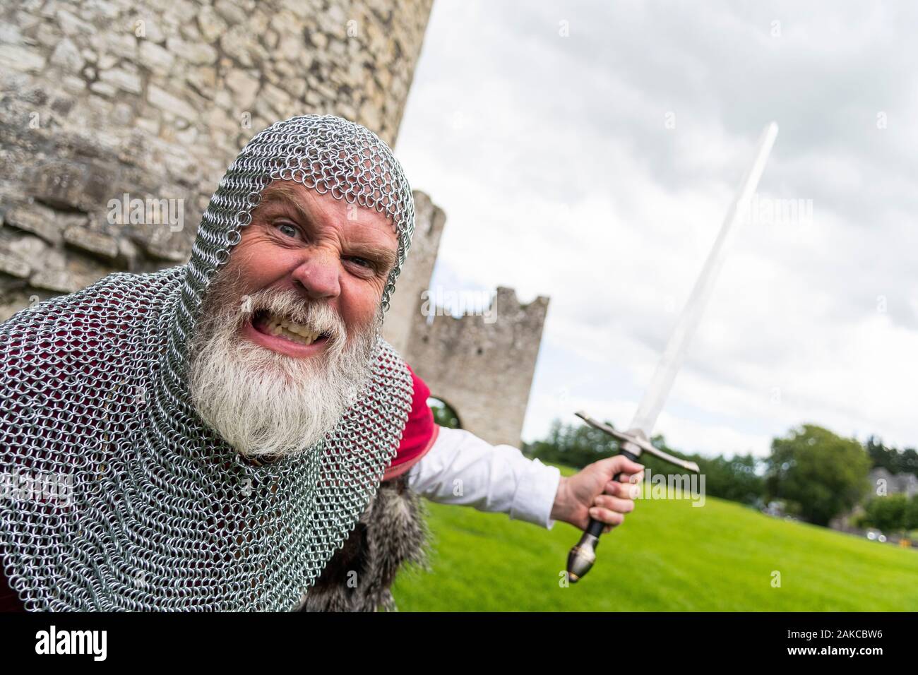 Ireland, Meath county, Trim castle Stock Photo - Alamy