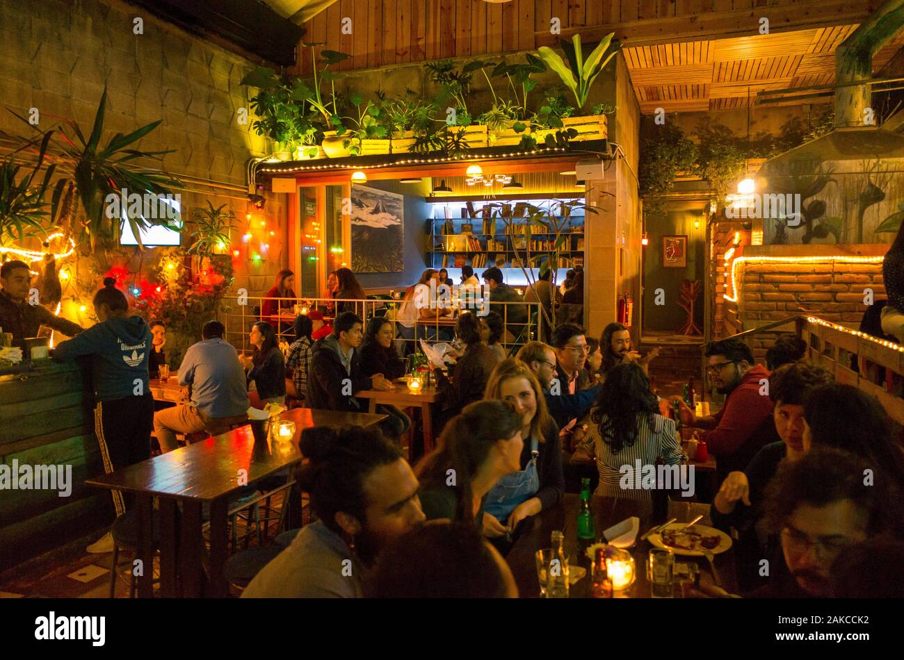 Mexico, Mexico City, Traspatio bar Stock Photo - Alamy
