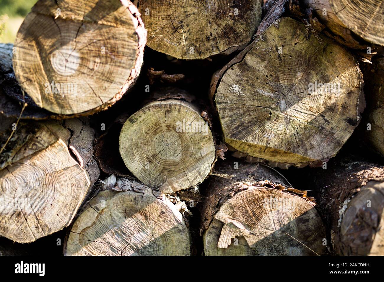 Timber Stacked In A Pile Stock Photo - Alamy