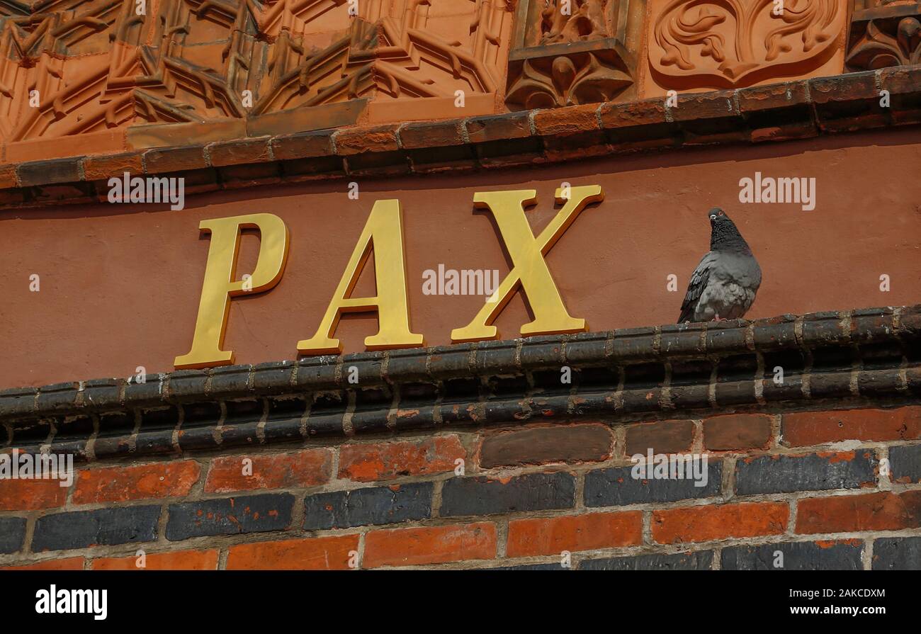 Headless pigeon hi-res stock photography and images - Alamy