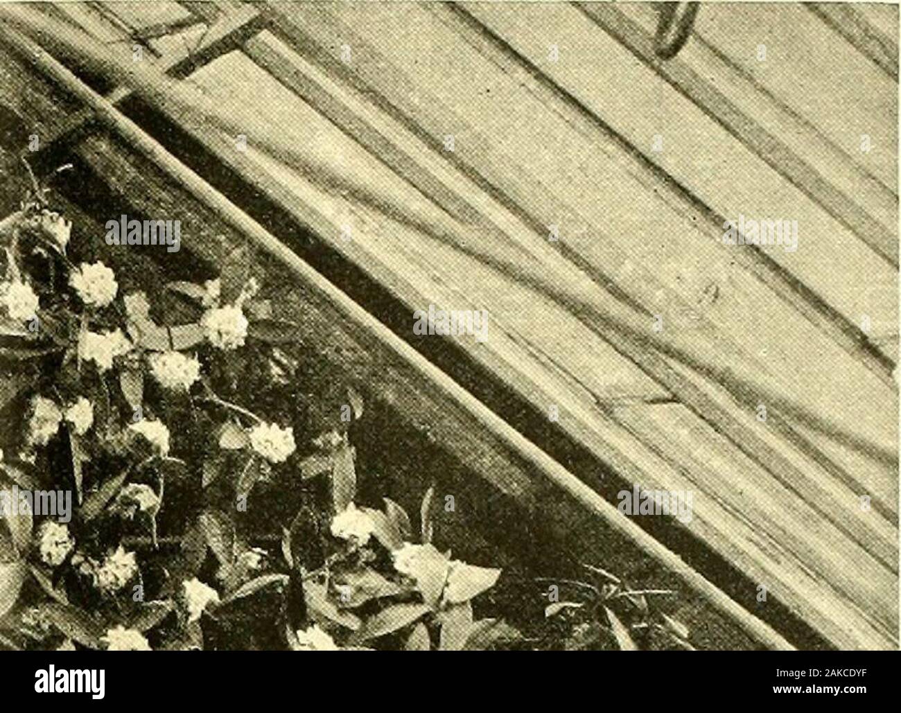 Balancefrom hi-res stock photography and images - Alamy