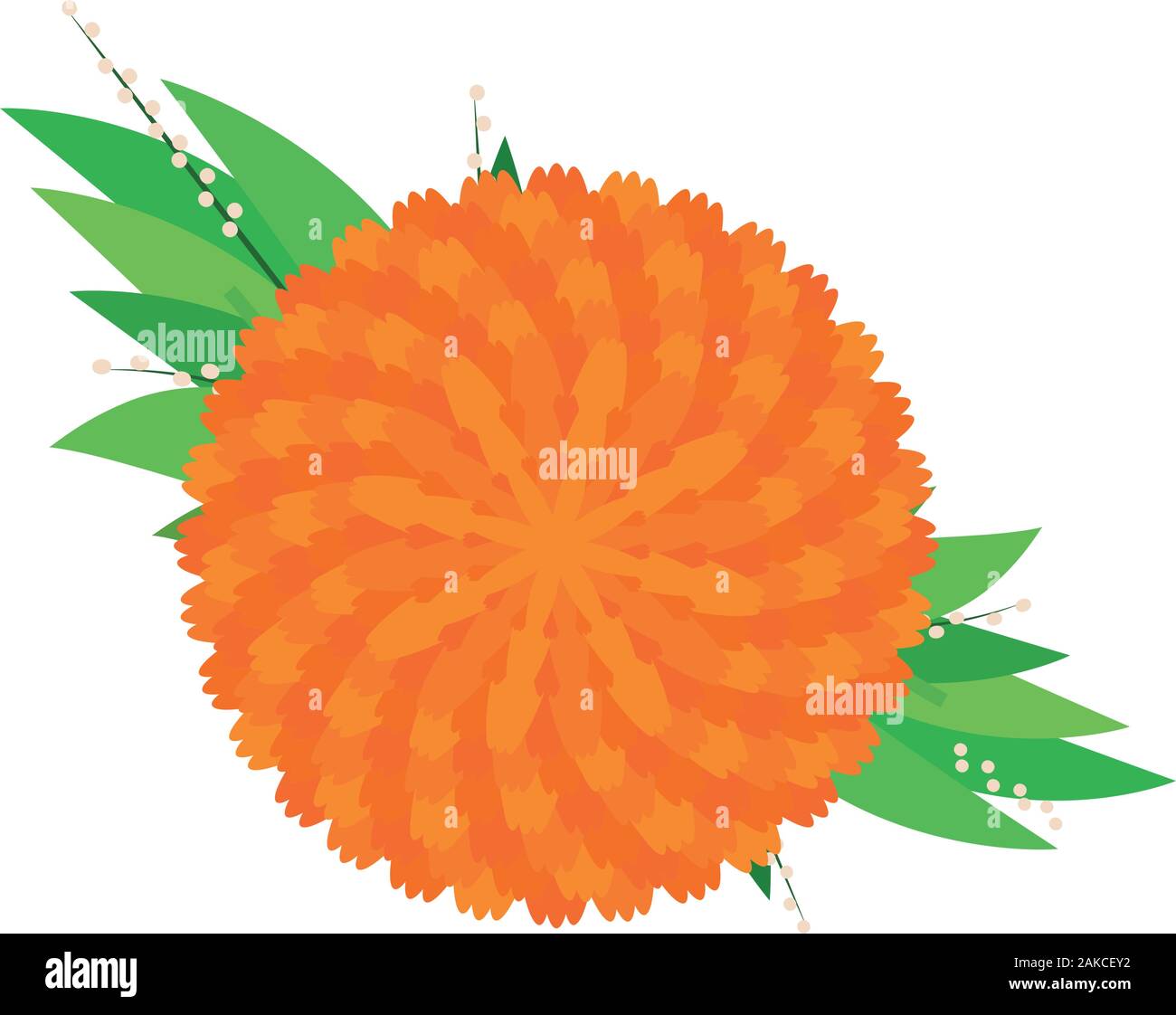 Orange flower image Stock Vector Image & Art - Alamy
