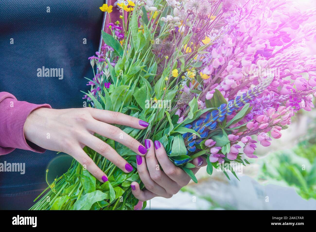 Flowers in girls hands hi-res stock photography and images - Alamy