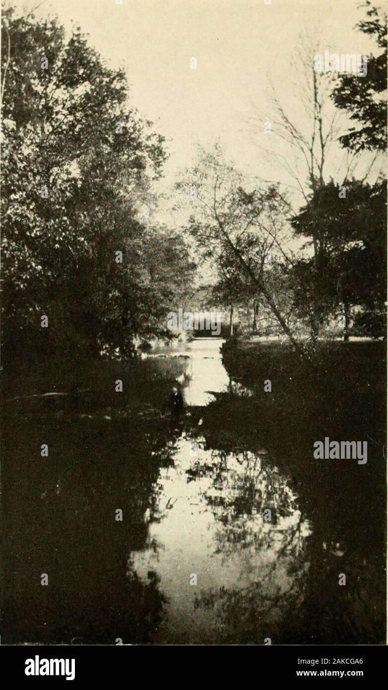 Welsh tract hi-res stock photography and images - Alamy