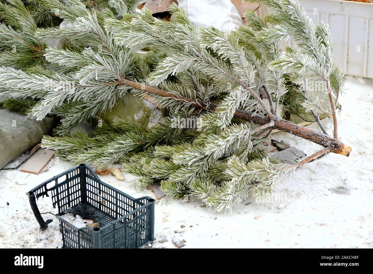 Unwanted christmas trees hi-res stock photography and images - Alamy