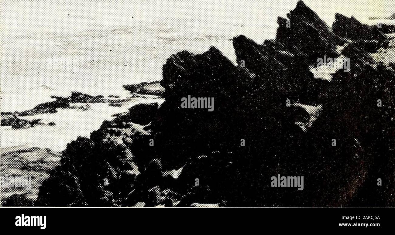 The Victorian naturalist . Purra Purra Water-hole—Mt. Hamilton. Photo ...