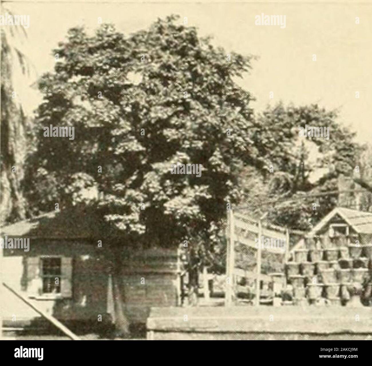 Delaware and the Eastern shore; some aspects of a peninsula pleasant ...