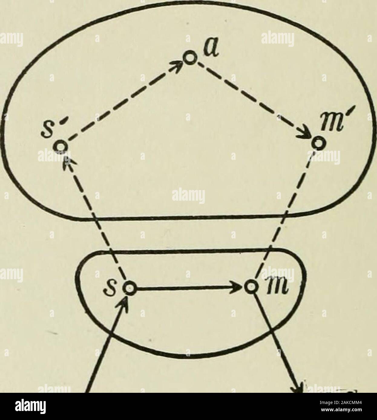 Motor unit neuron hi-res stock photography and images - Alamy