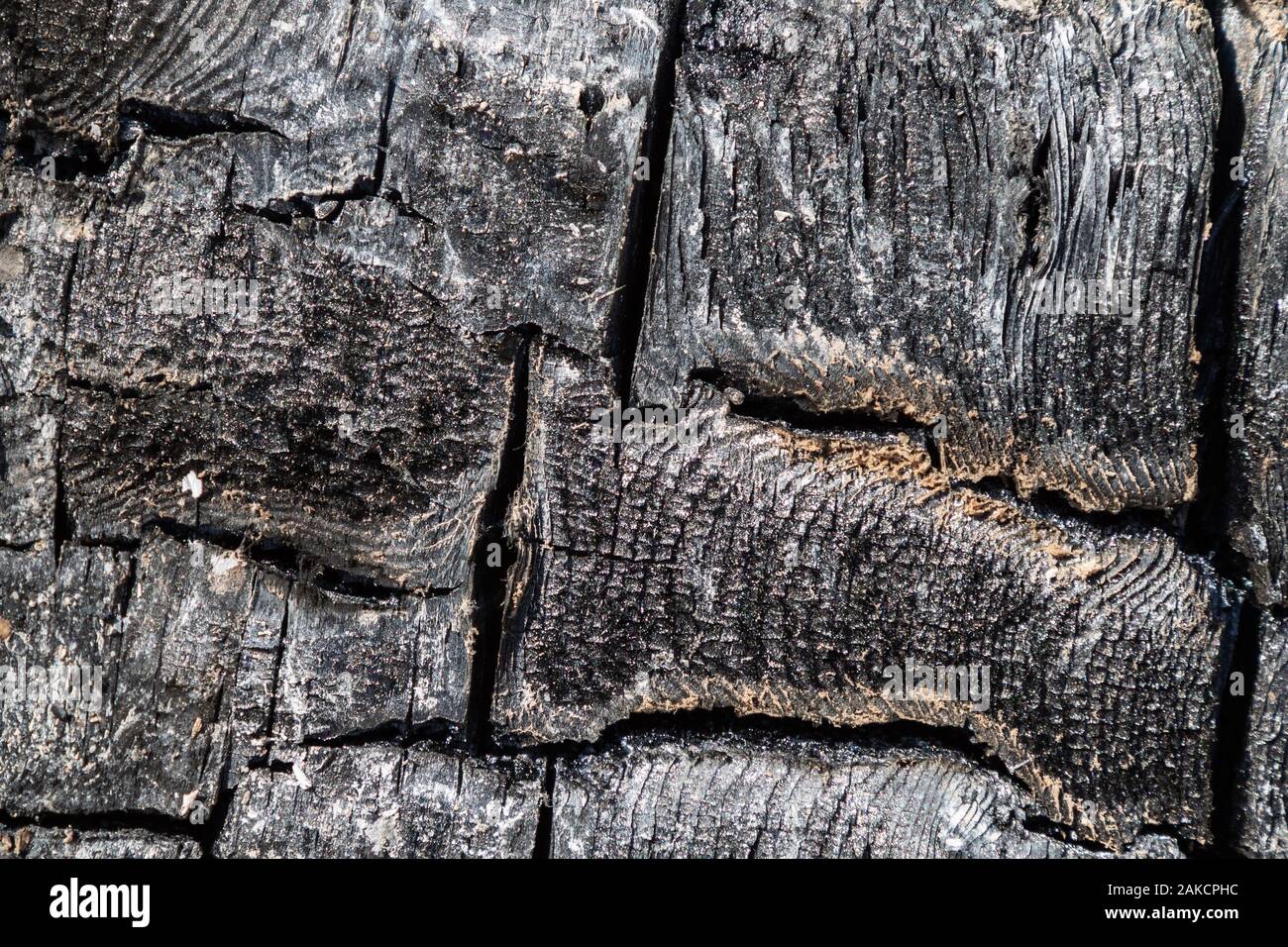 Natural burned carbonised charred wood surface flat high quality ...