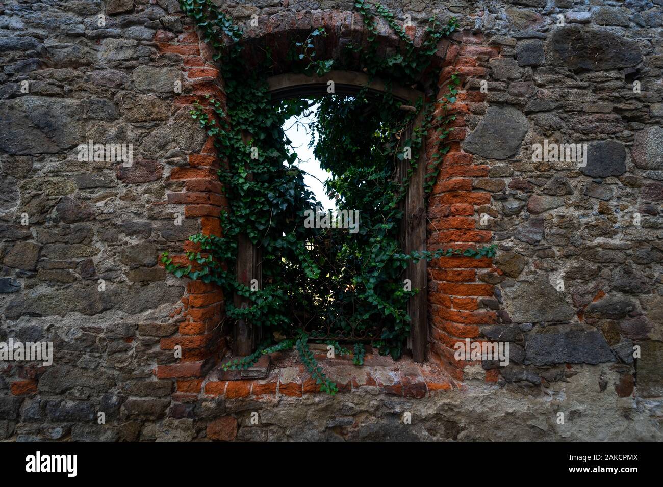 Overgrown window of an old house Stock Photo - Alamy