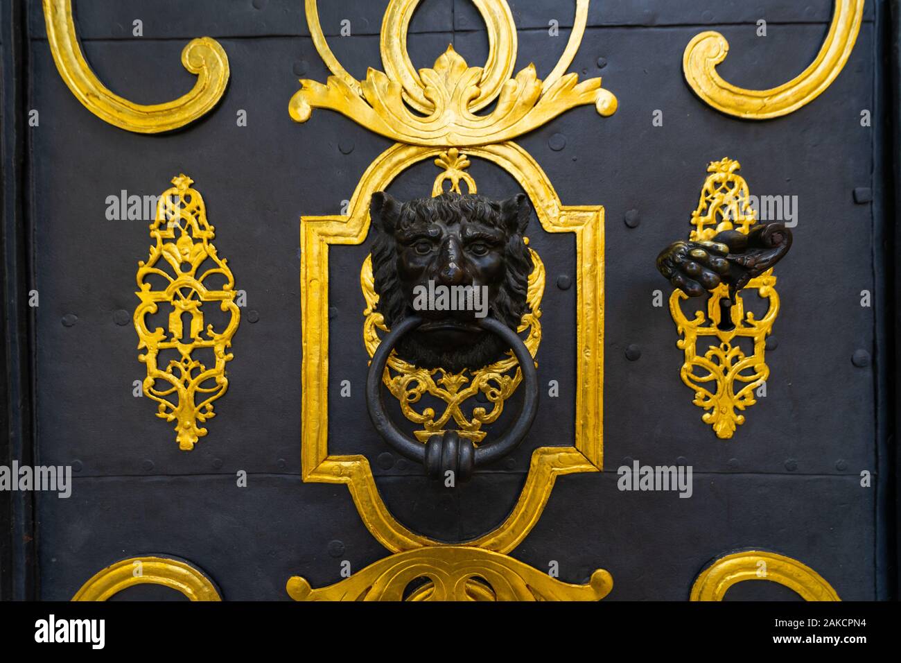 Fragment of a lion head hi-res stock photography and images - Alamy
