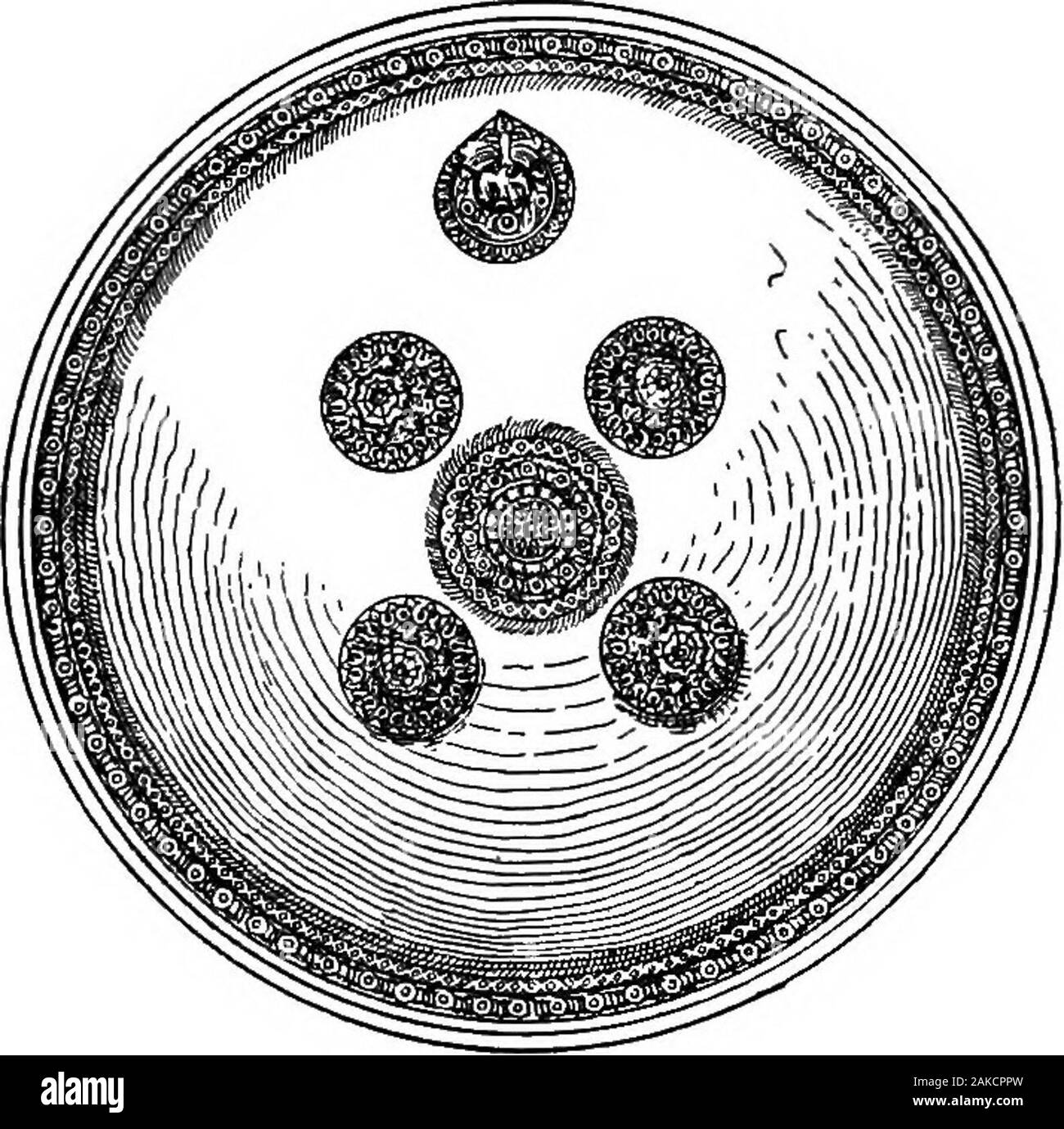 ©phant Black and White Stock Photos & Images - Alamy