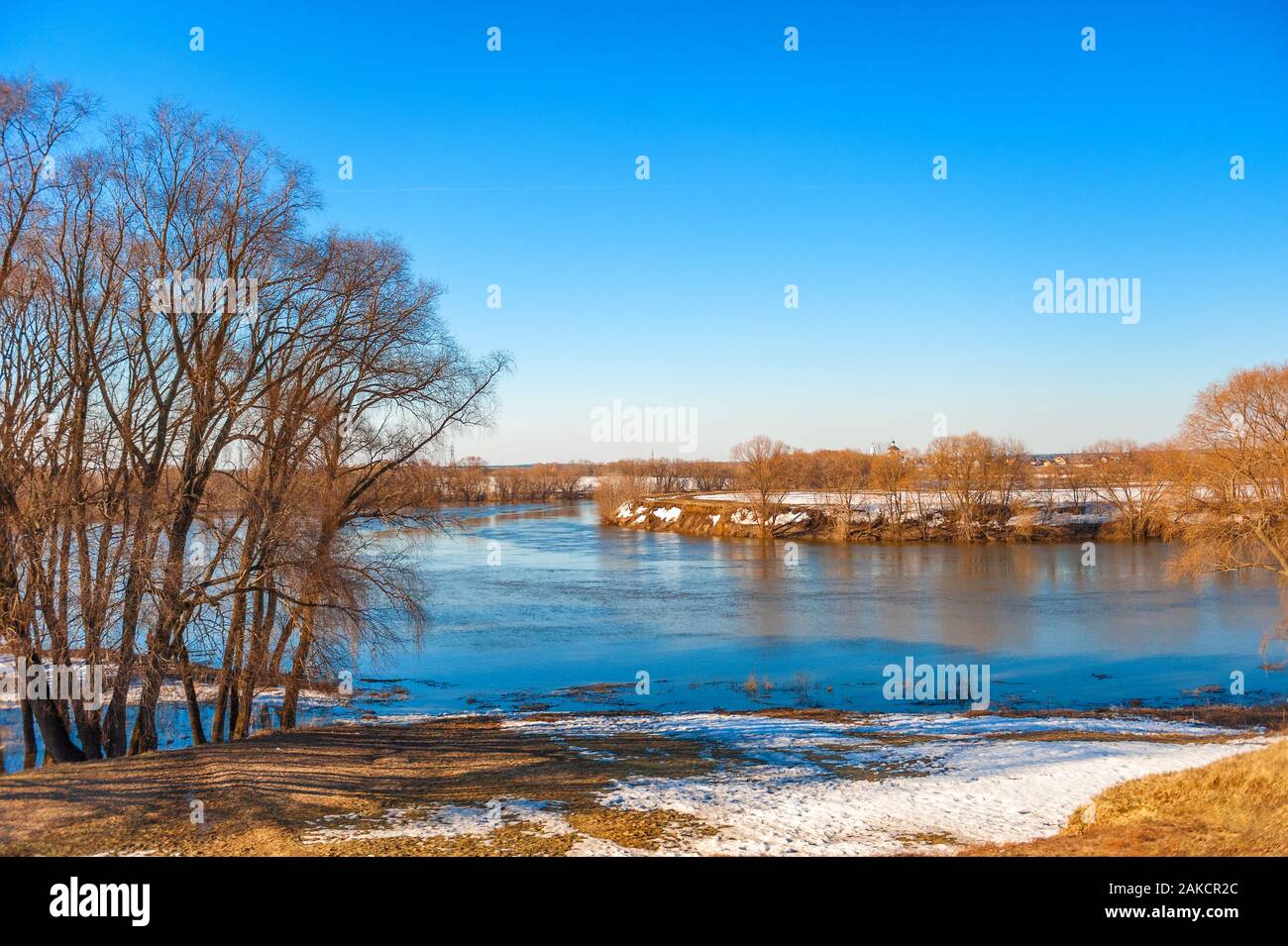 Spring natural landscape with trees standing in the water during the ...