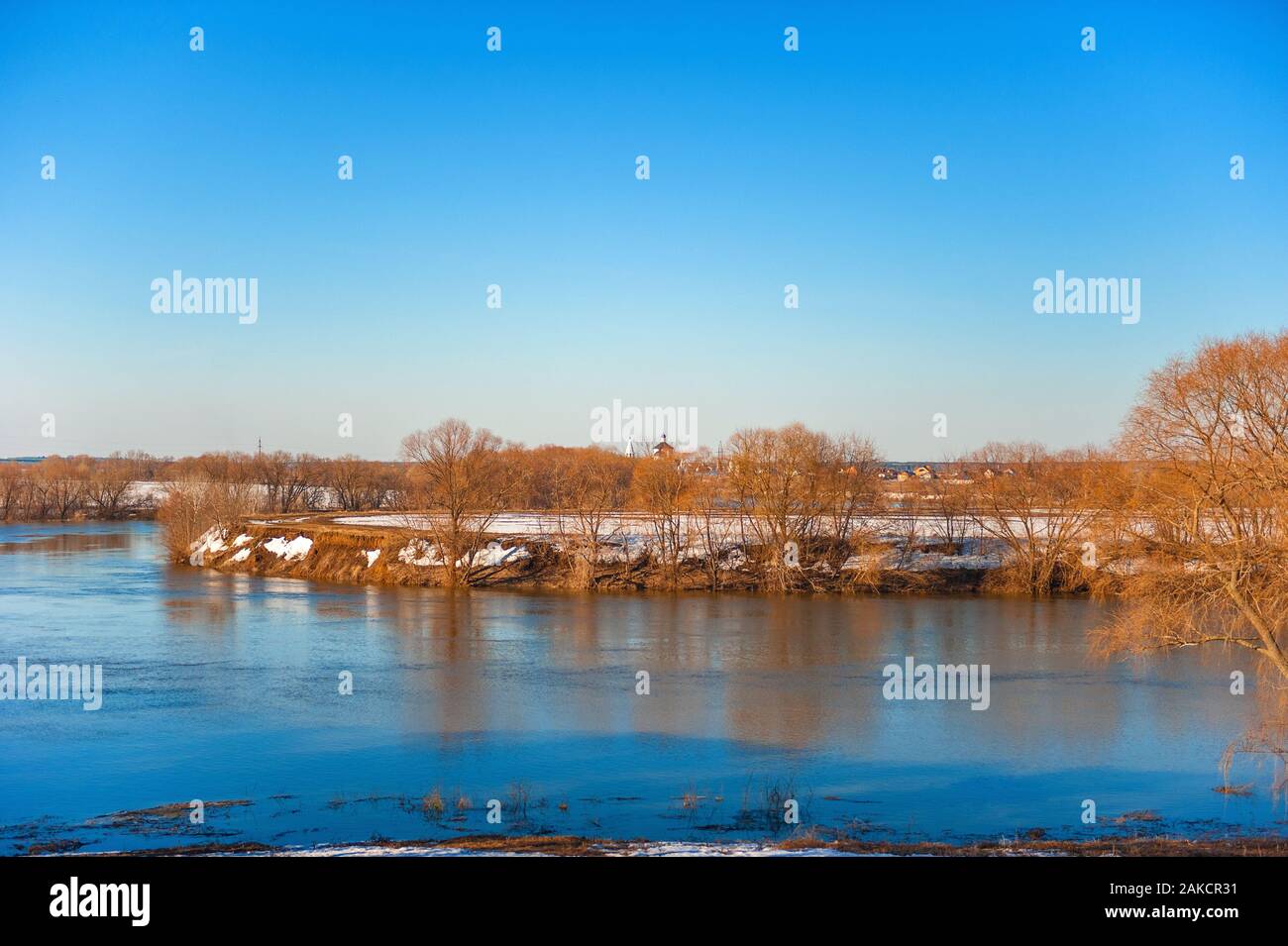 Spring natural landscape with trees standing in the water during the ...