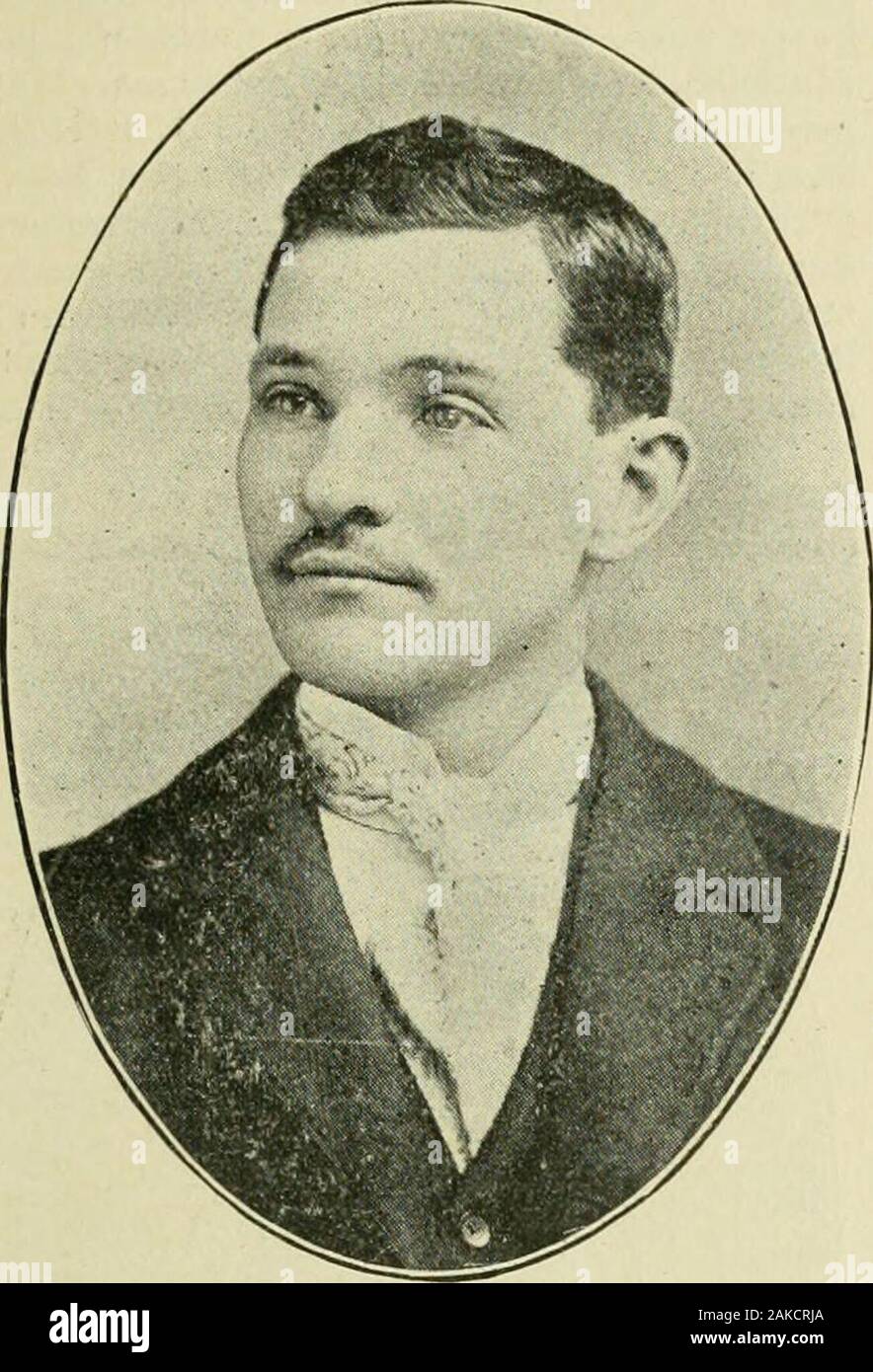 Bookidhistoryofbea hi-res stock photography and images - Alamy