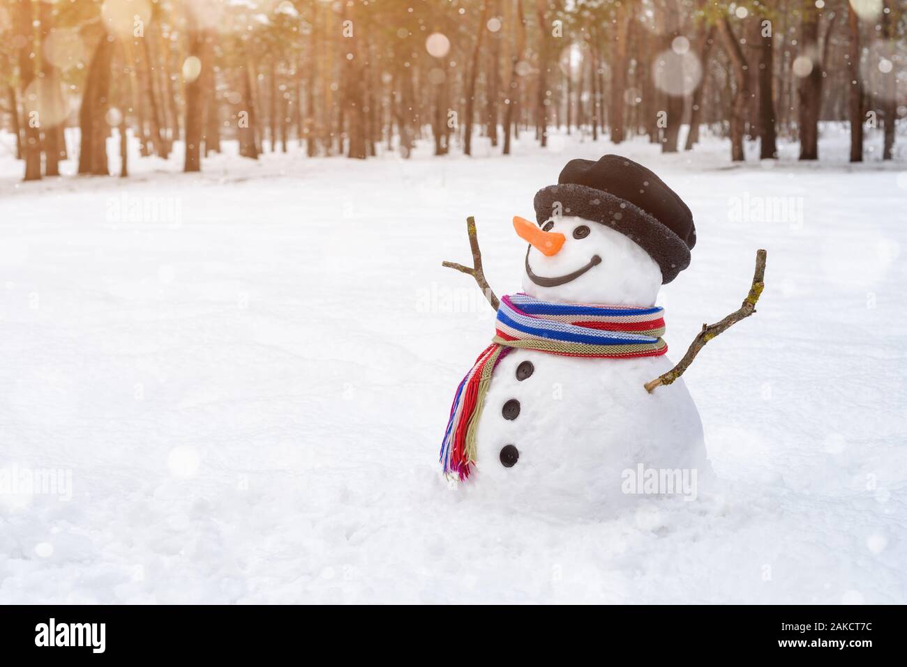 Cheerful snowman in a snowy city park. Christmas scene with traditional ...