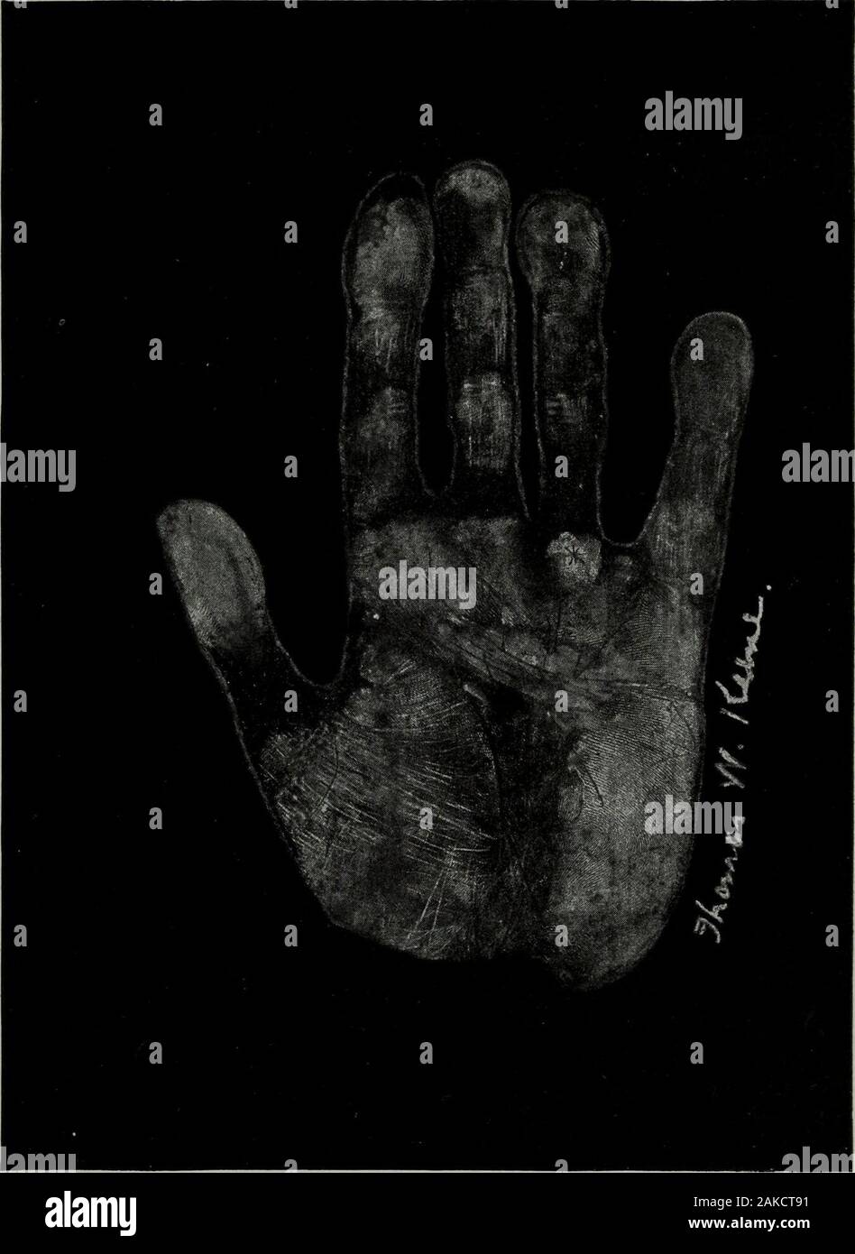 Thomas monkeys hi-res stock photography and images - Alamy