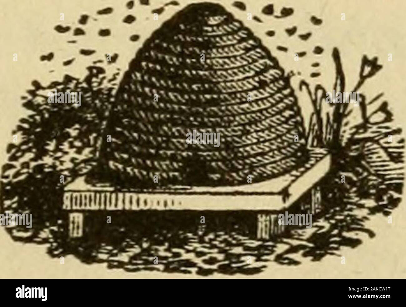 Flutter mill hi-res stock photography and images - Alamy