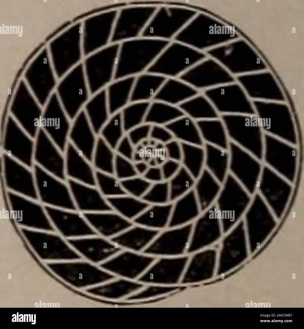 Amoeba figure hi-res stock photography and images - Alamy