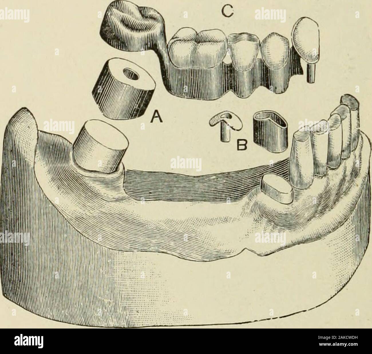 Tapered collar hi-res stock photography and images - Alamy