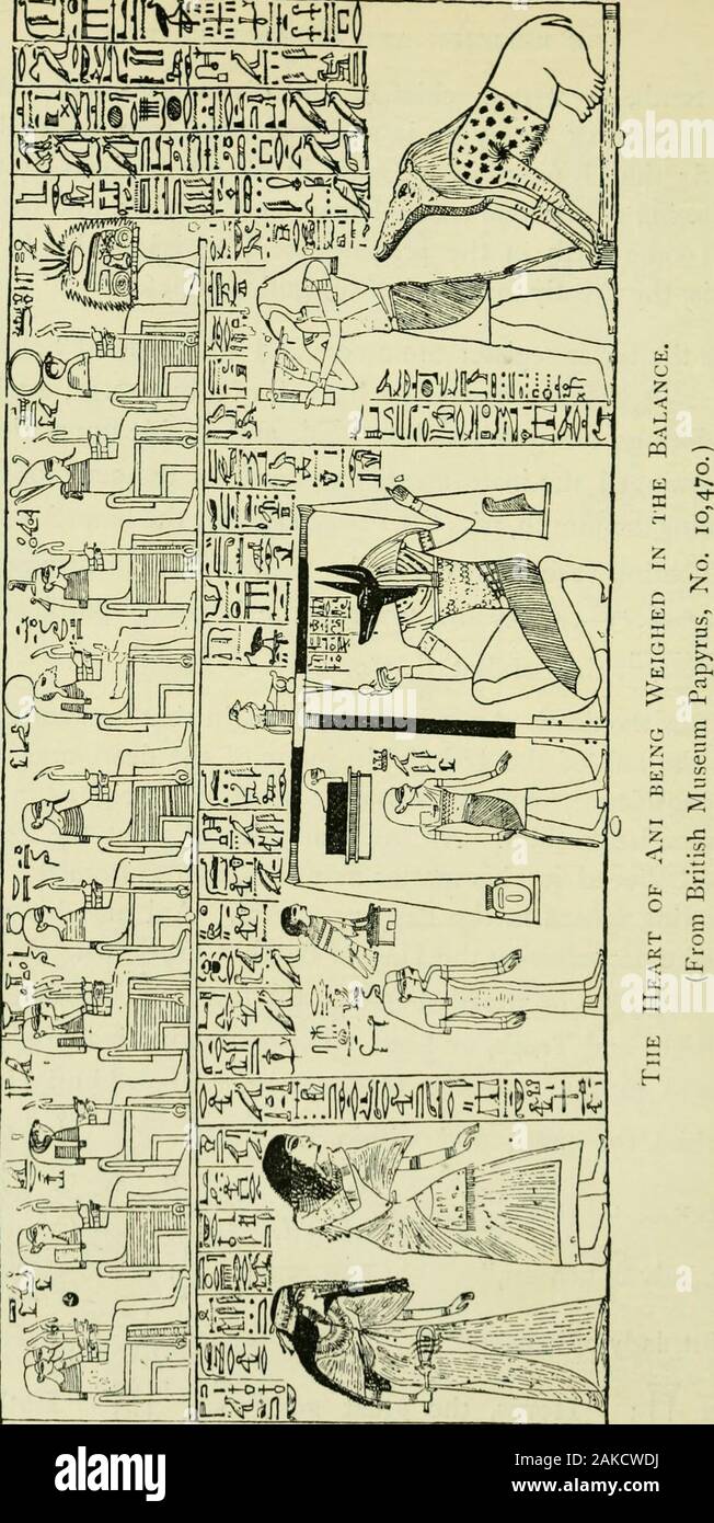 The Nile : notes for travellers in Egypt . h, tnz.^ the Fesh-en-kef ...
