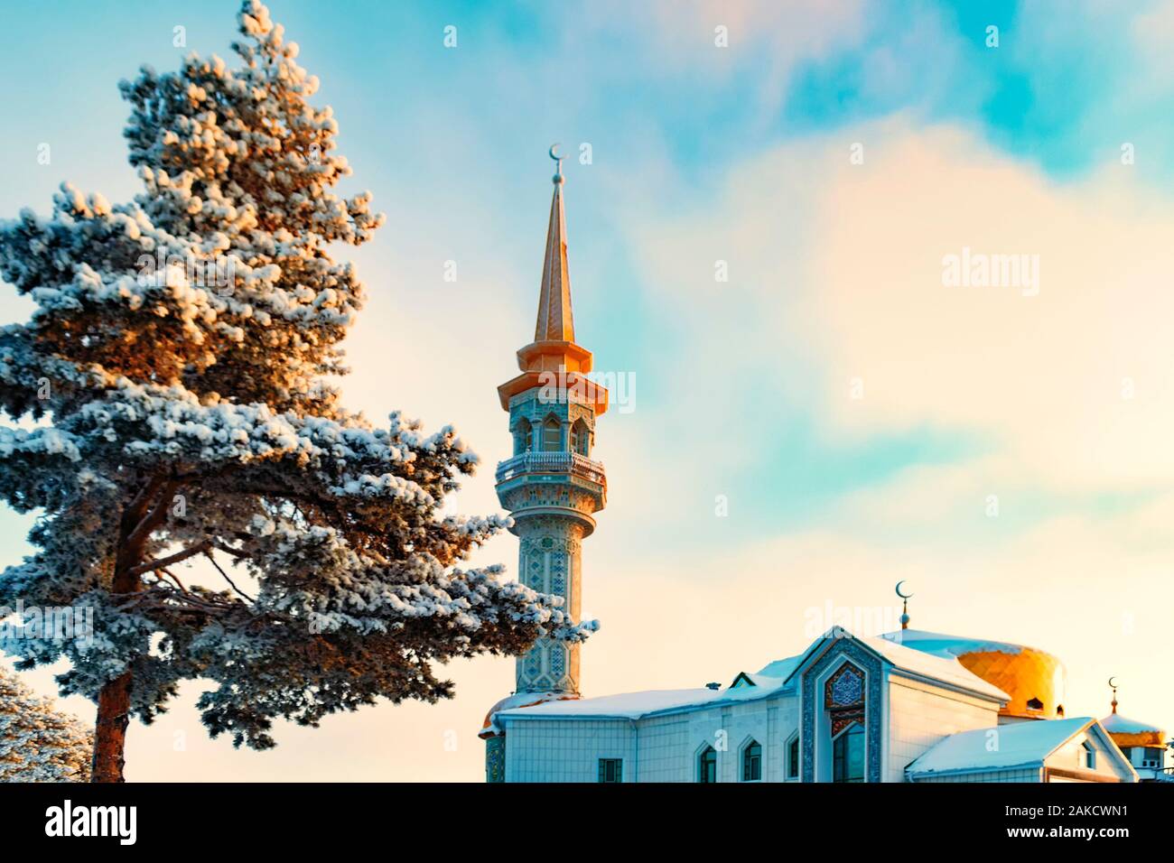 Mosque and Siberian pine. Russia. View from the front Stock Photo - Alamy