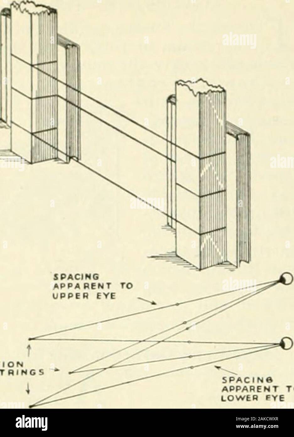 Spacing issue hi-res stock photography and images - Alamy