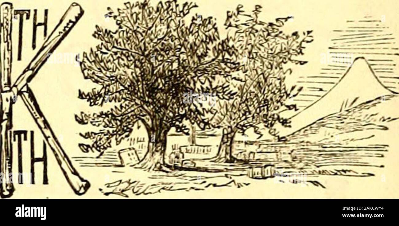 5 7 ada hi-res stock photography and images - Alamy