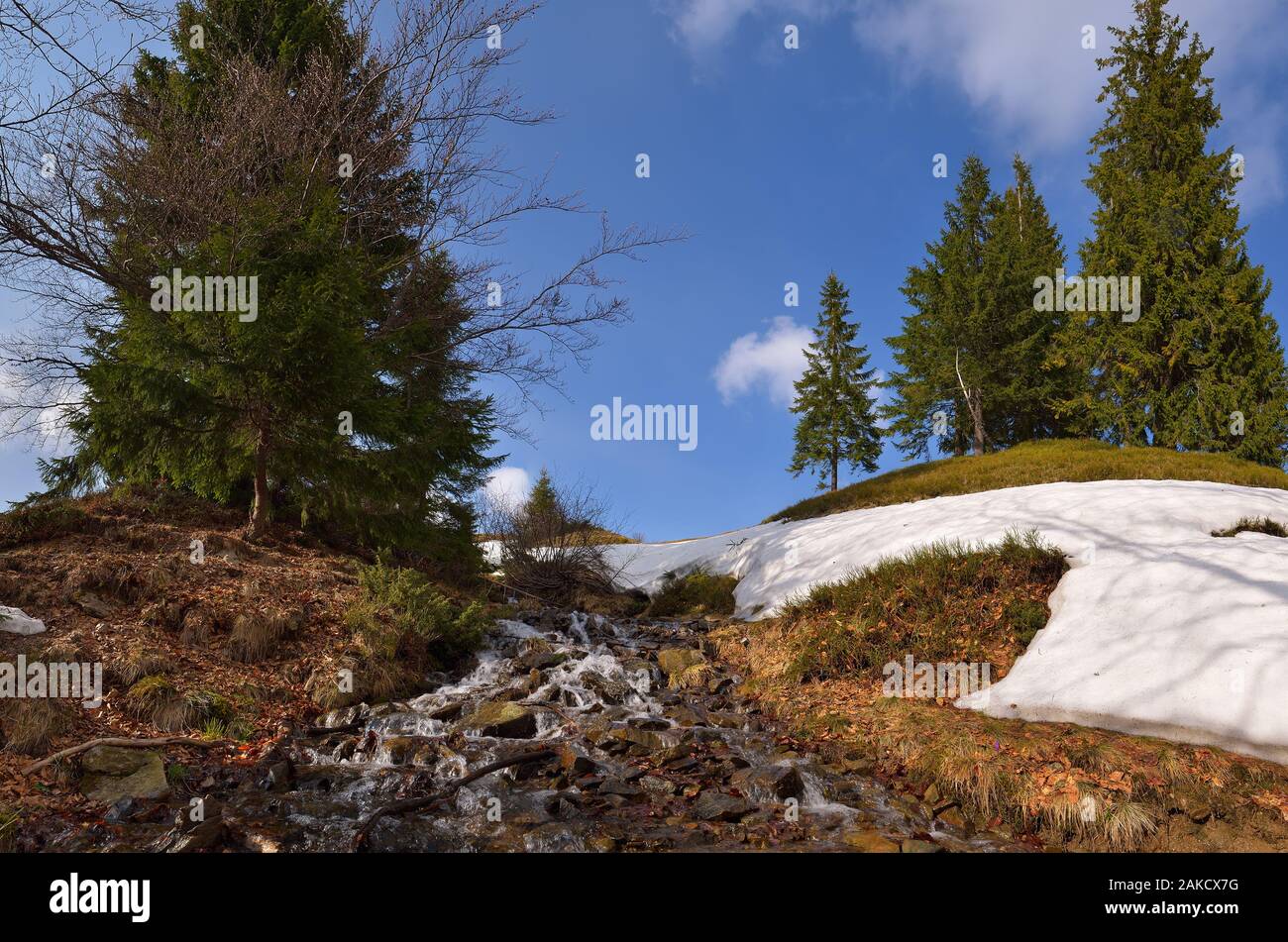 Spring in mountains. Stream from melting snow. Sunny day Stock Photo ...