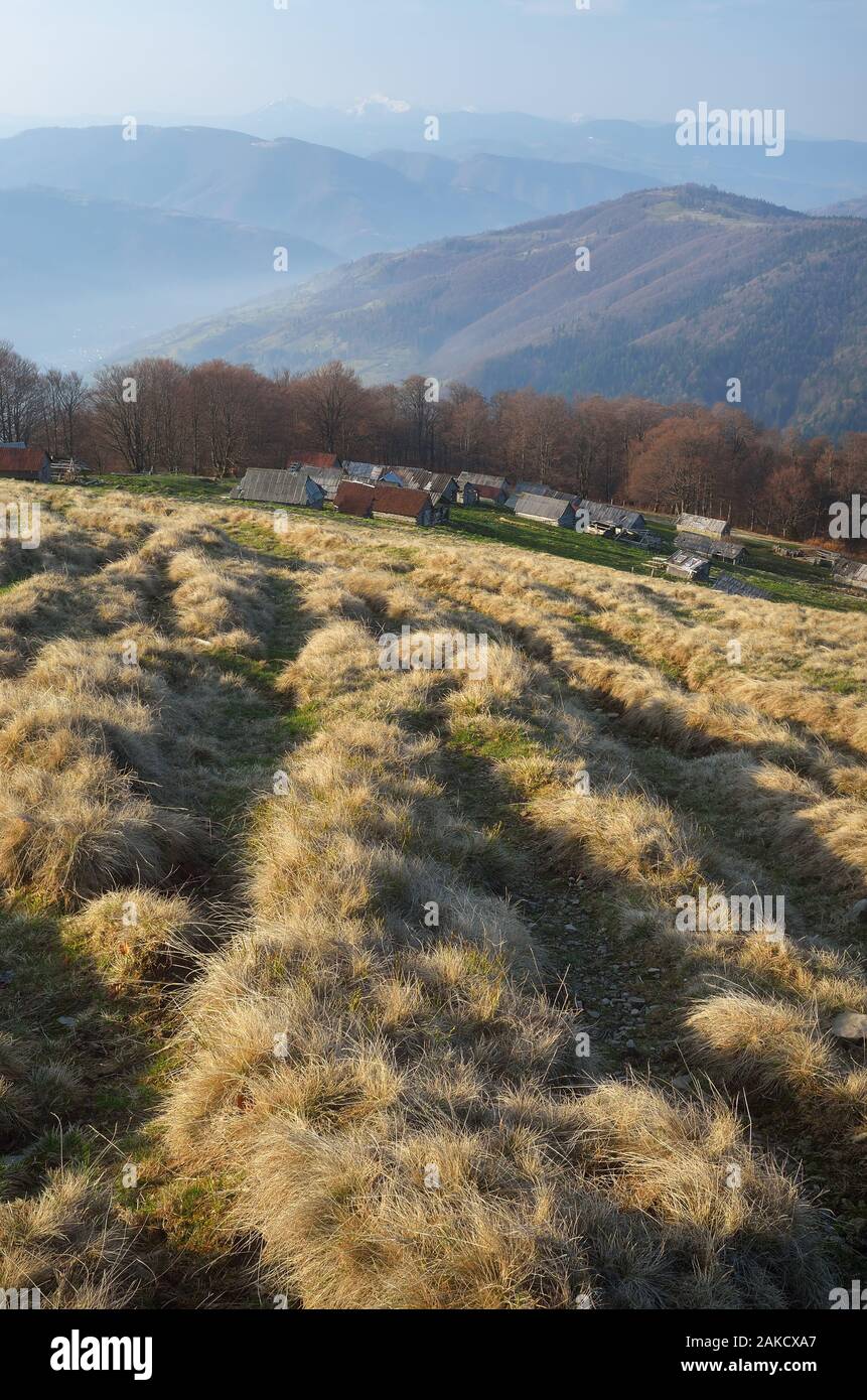 Thorp wood hi-res stock photography and images - Alamy