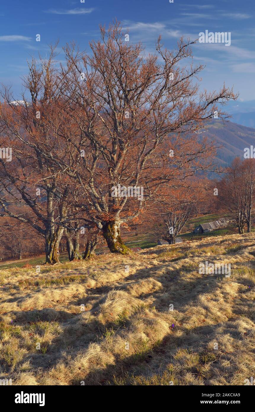 Spring season wildlife hi-res stock photography and images - Alamy