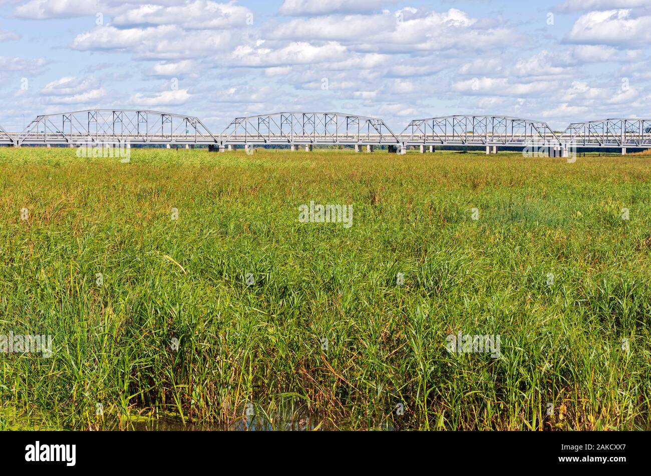 Old cedar bridge bloomington hi-res stock photography and images - Alamy