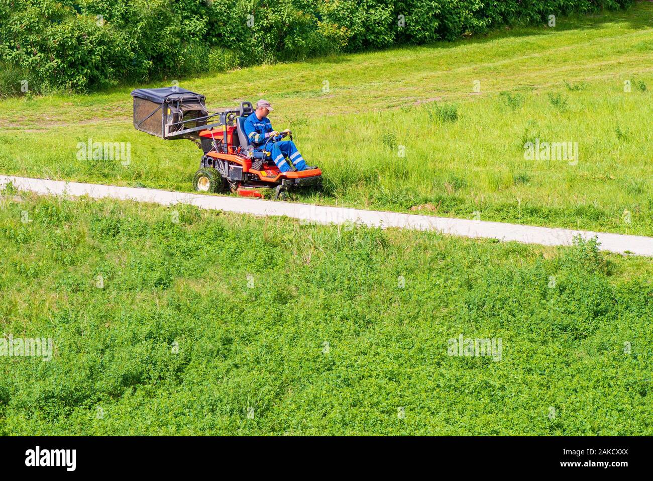 Mature man driving grass cutter in a sunny day.Worker mowing grass in ...