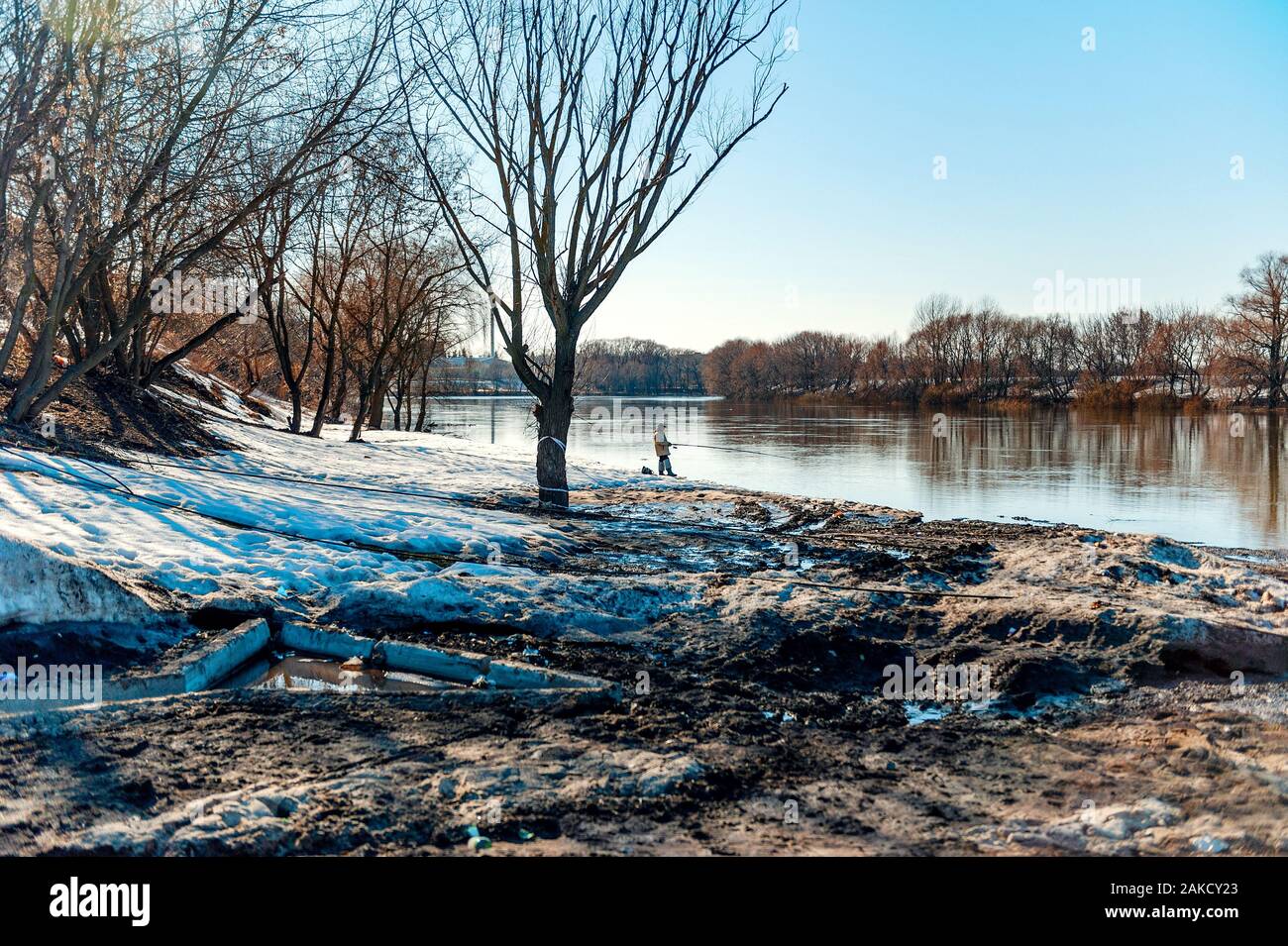 Spring natural landscape with trees standing in the water during the ...