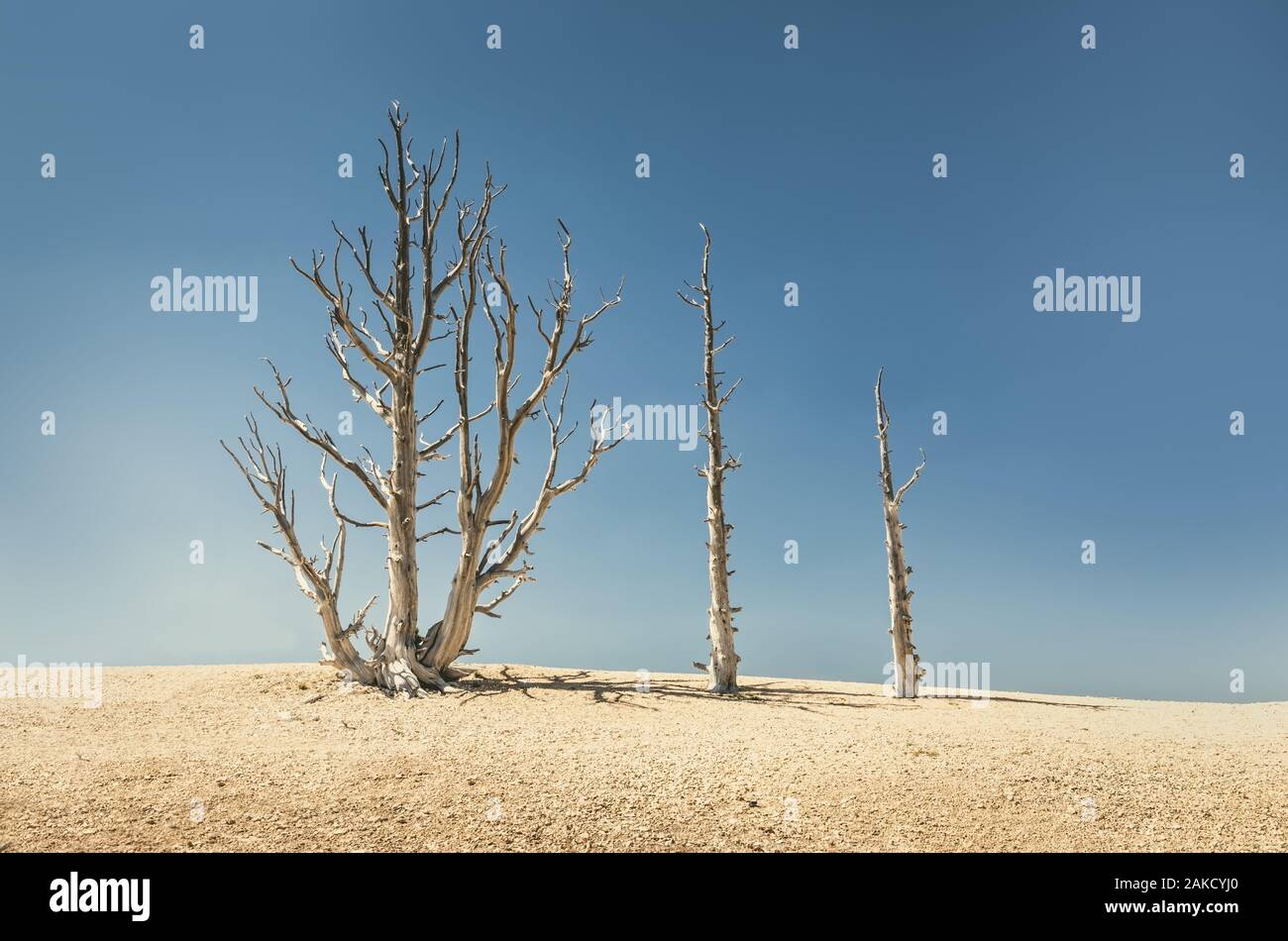 Three row hi-res stock photography and images - Alamy