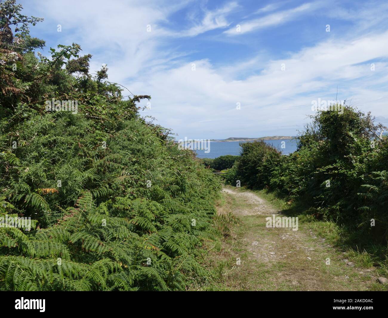 Foot path leading to the sea Stock Photo - Alamy