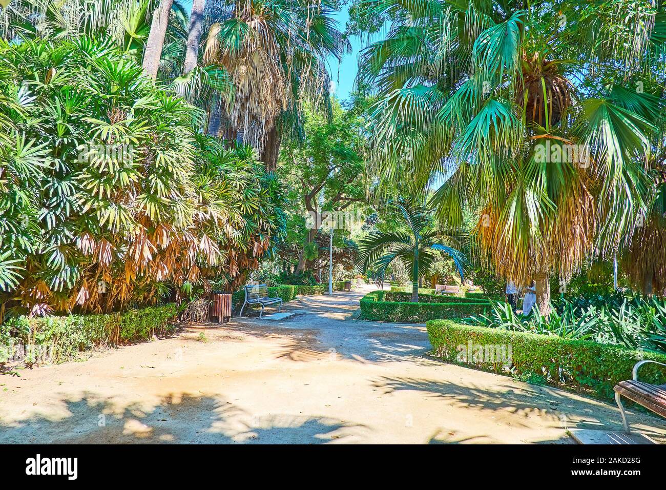 Walk the curved alley of Malaga park and enjoy lush greenery, flower ...