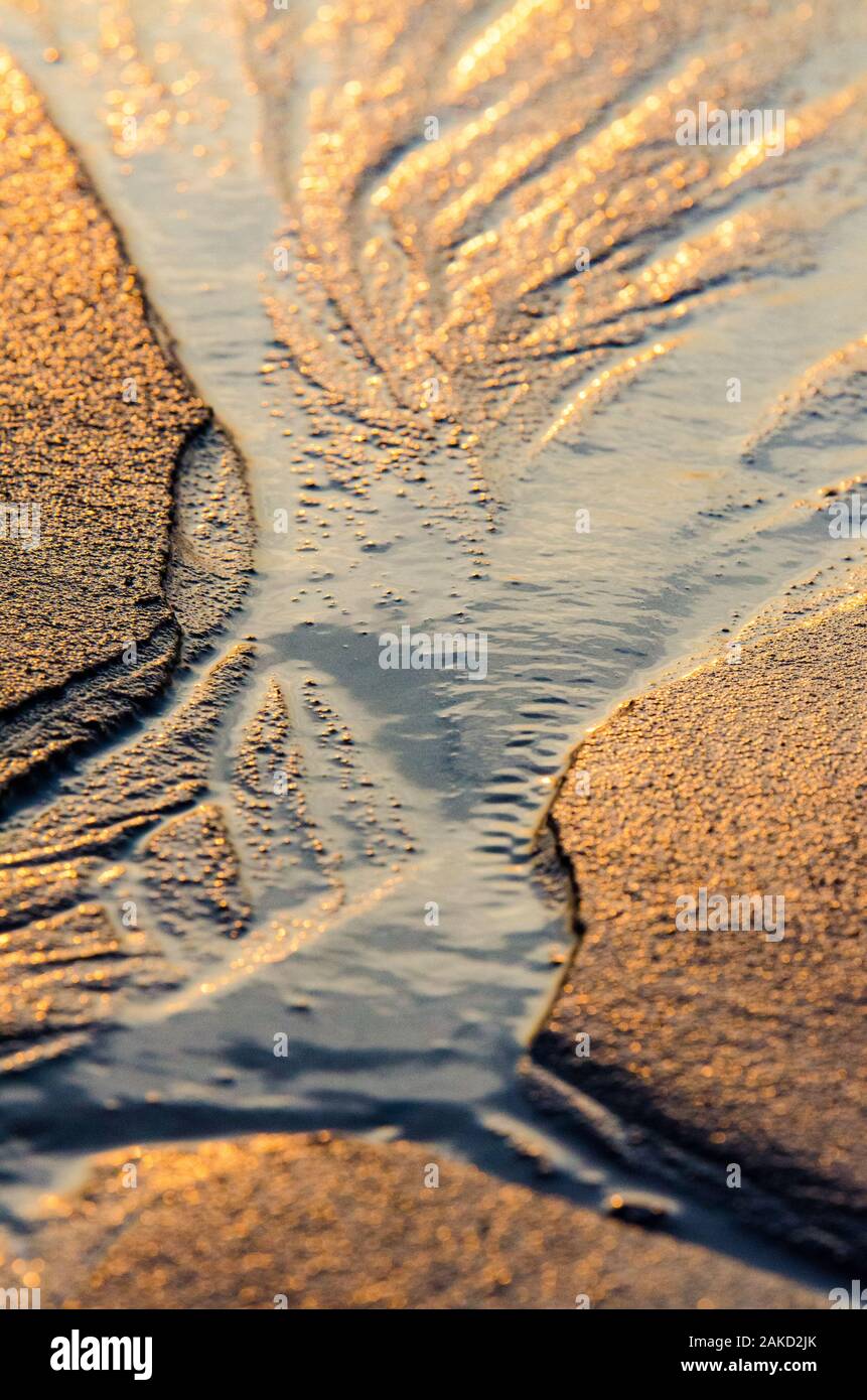 Water running through sand with golden light Stock Photo - Alamy