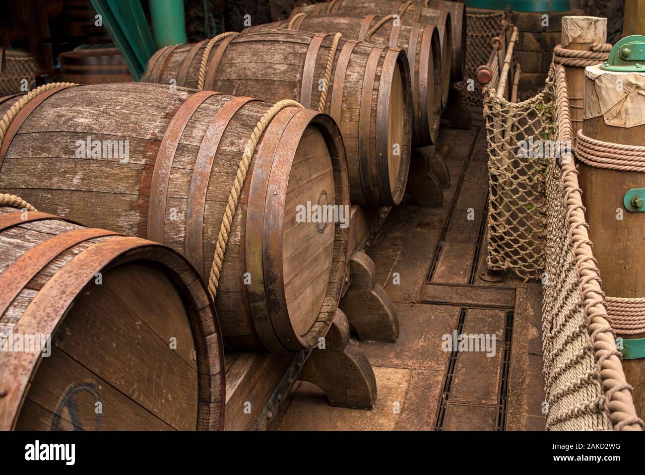 Old large wine wooden barrels on a wooden floor tied with a large rope ...