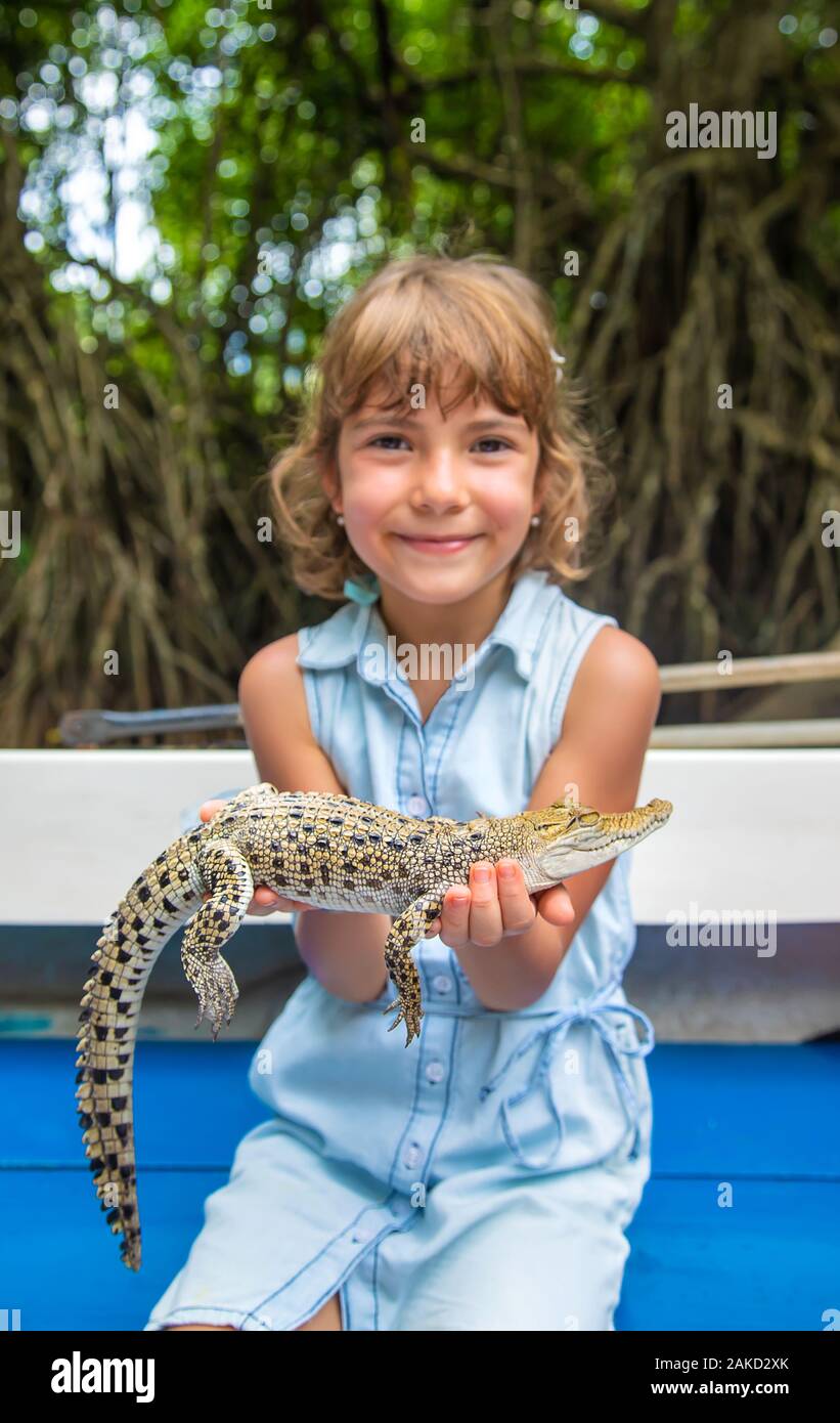 Girl holding baby alligator hi-res stock photography and images - Alamy