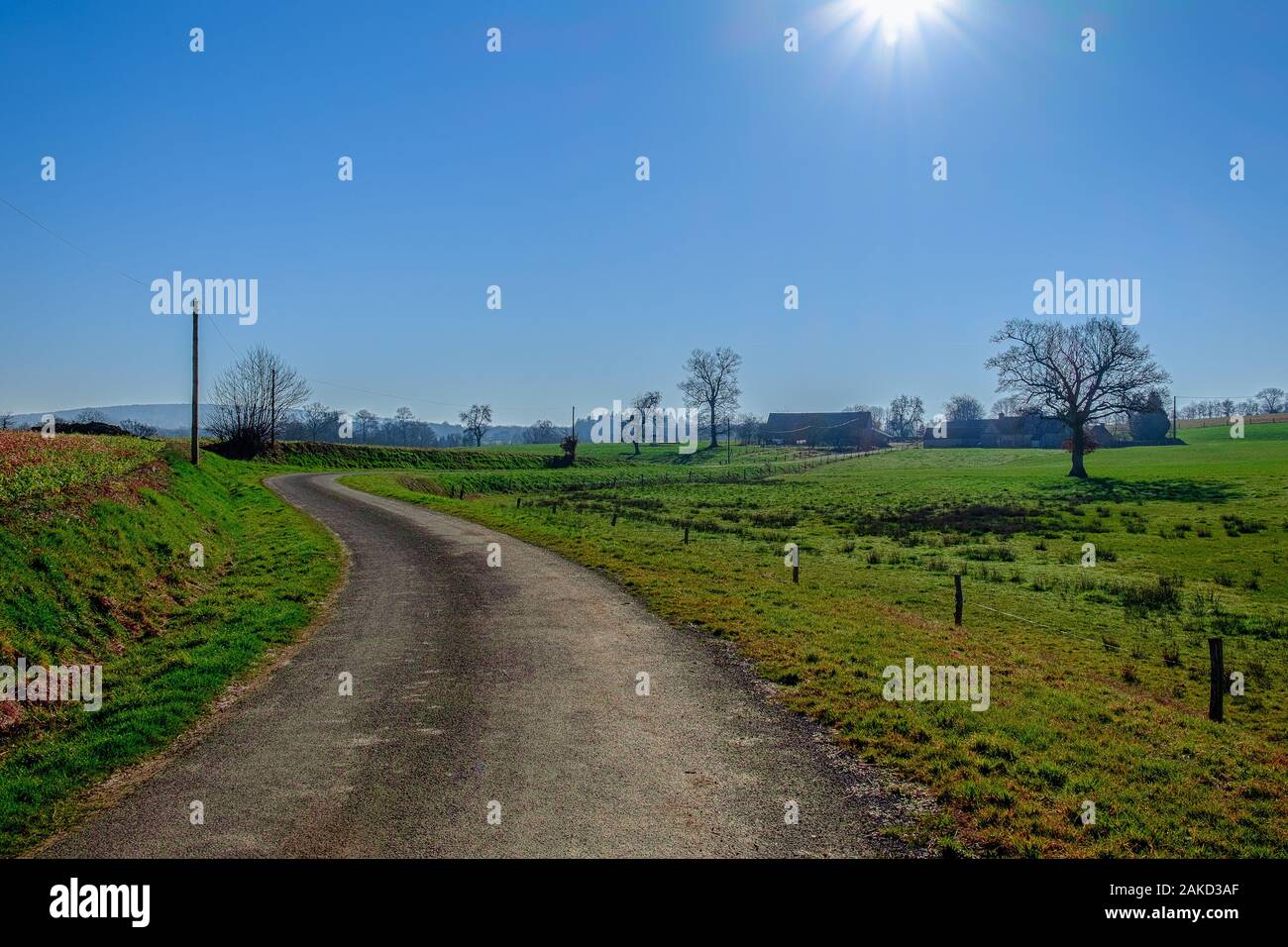 Torchamp hi-res stock photography and images - Alamy