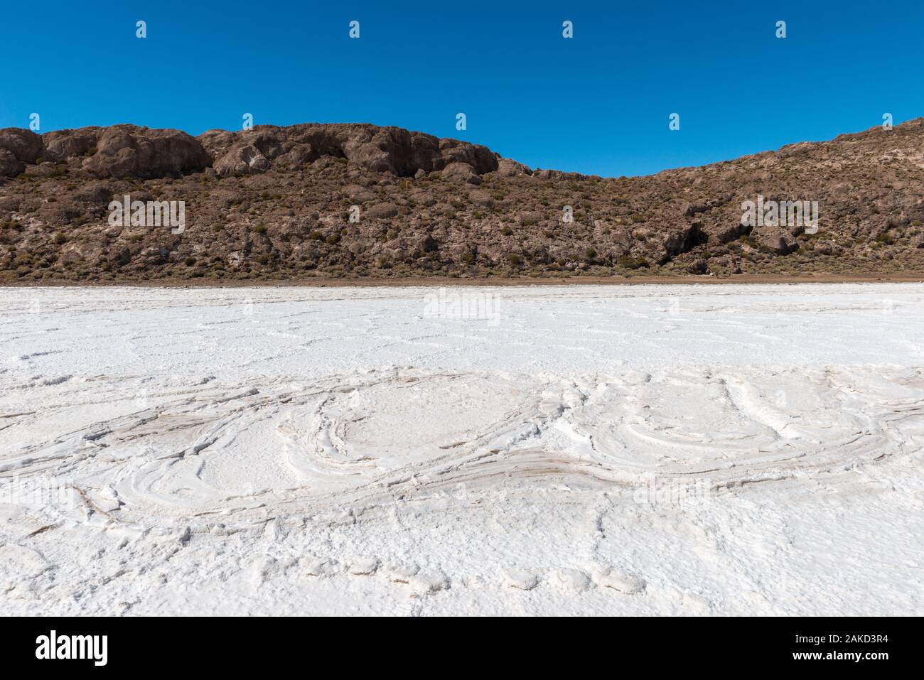 Isla Pia Pia or Pia Pia island, Saltlake Salar de Uyuni, Department ...