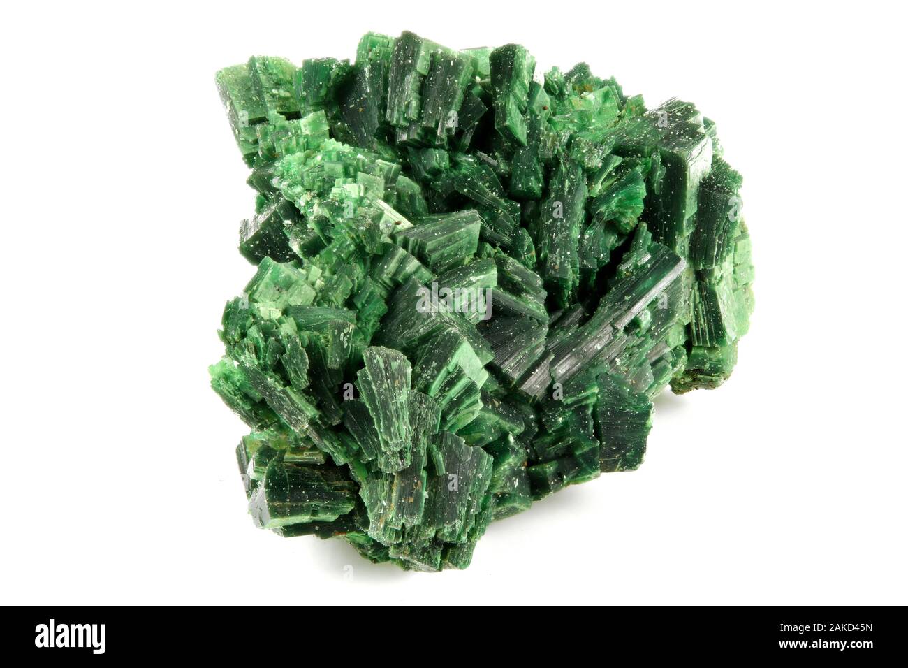 torbernite (uranium ore) from Margabal Mine, France isolated on white ...