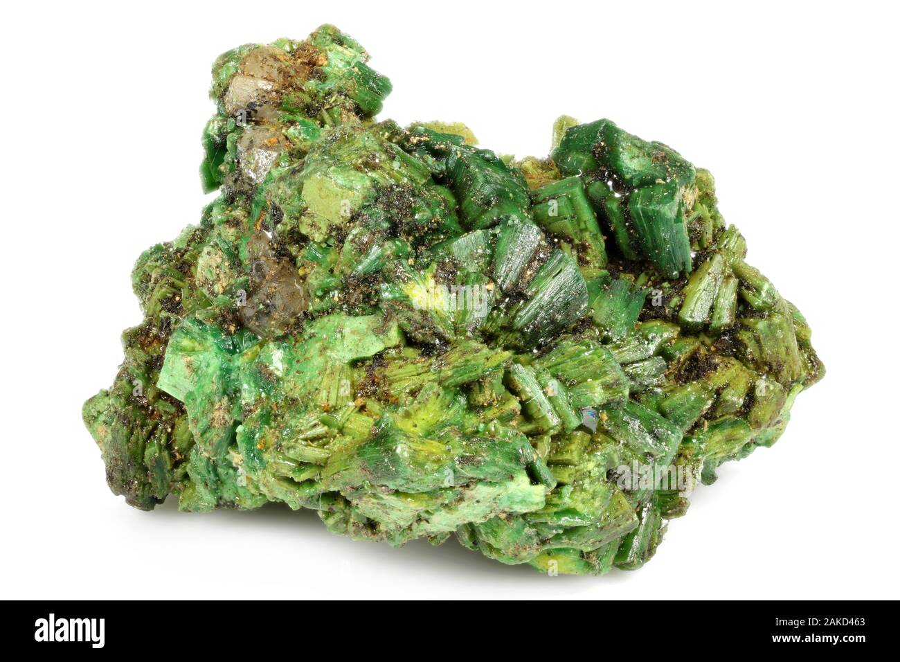 torbernite (uranium ore) from Margabal Mine, France isolated on white ...