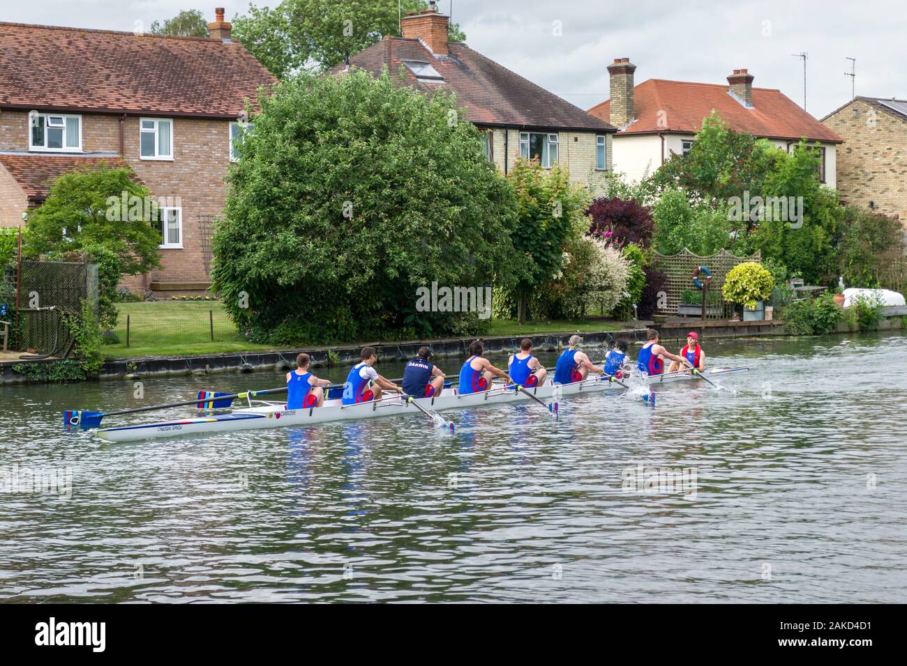Mens boat crew on the river Cam taking part in The Bumps row boat ...