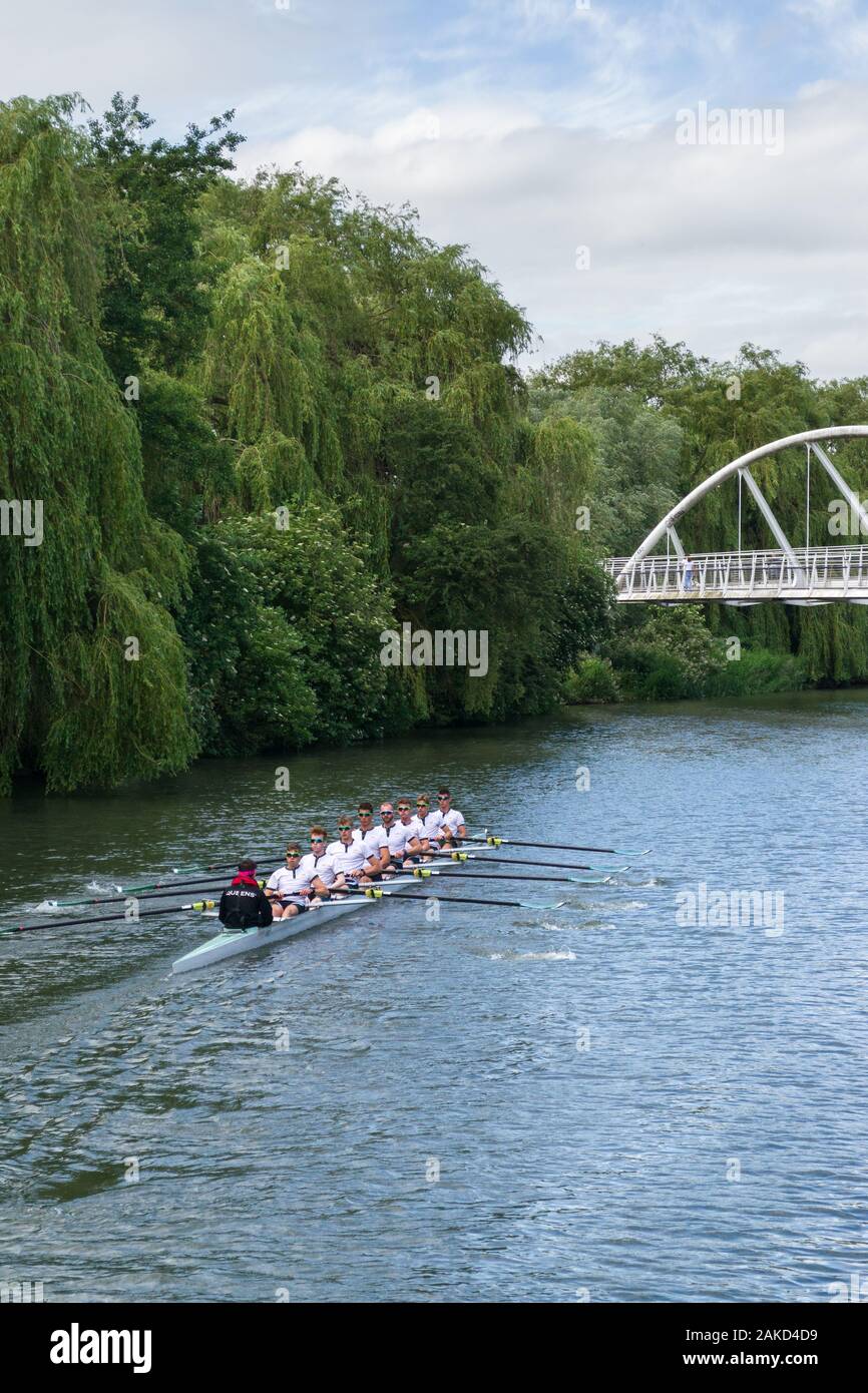 Mens boat crew on the river Cam taking part in The Bumps row boat ...